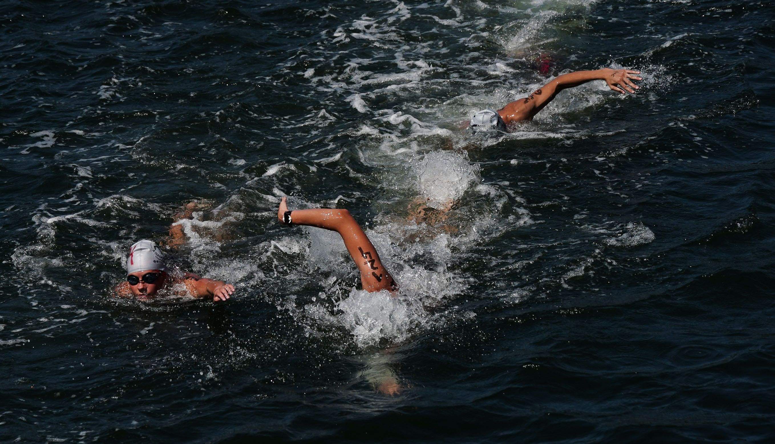 La travesía a nado del Lérez convierte Pontevedra en una fiesta de natación